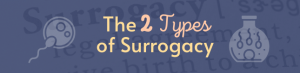 What is a Surrogate? Surrogacy Explained - The 2 Types of Surrogacy and ...
