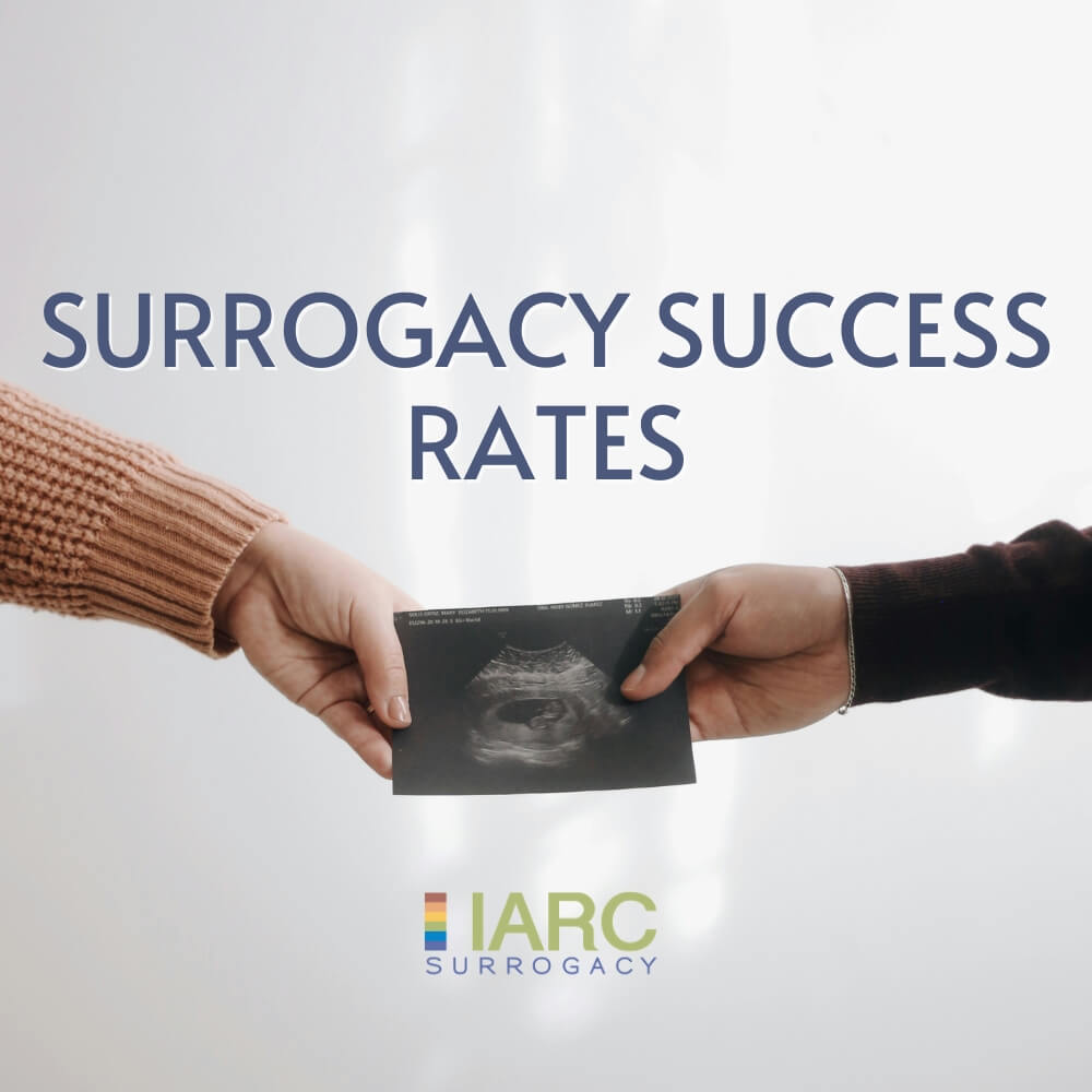 Surrogacy Success Rates And What Impacts Them